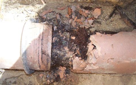 Be Sewer Savvy East Gippsland Water