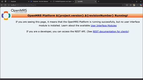 Reproducing An Error From The Core Development Openmrs Talk