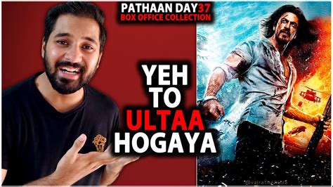 Video Pathaan Day 37 Box Office Collection Prediction Pathaan Box