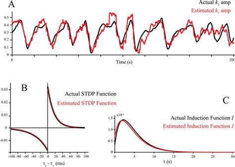 identification of stdp and induction functions from spiking