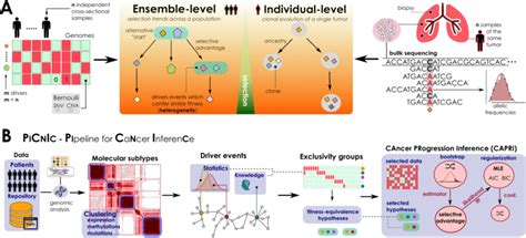 A Problem Statement Left Inference Of Ensemble Level Cancer