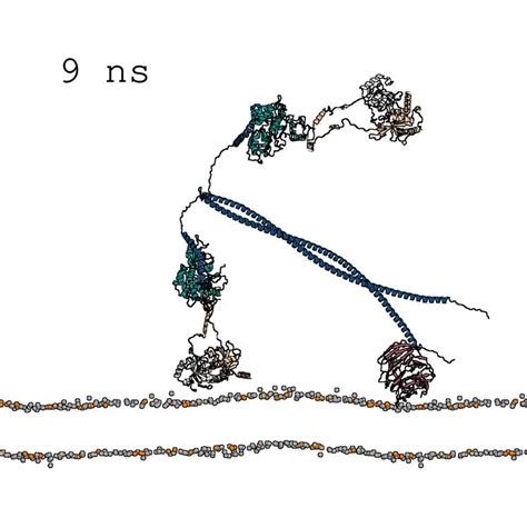 Dr Parth Sarthi Sen Gupta On Linkedin Molecular Dynamics Simulation