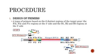 LAMP Loop Mediated Isothermal Amplificaton Of DNA PPTX