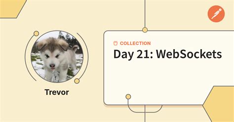 Day 21 Websockets 30 Days Of Postman For Developers Workspace