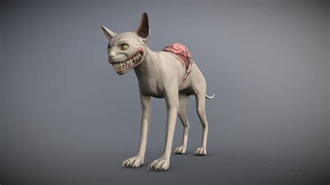 Mutant Cat I 3d Model By Chrisg Christianguevara 257d593 Sketchfab