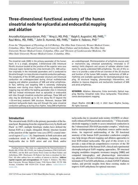 Pdf Three Dimensional Functional Anatomy Of Human Sinoatrial Node For Epicardial And