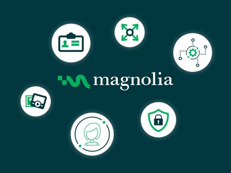 Leveraging The Power Of Magnolia Cms For Seamless Digital Experiences Leadstec