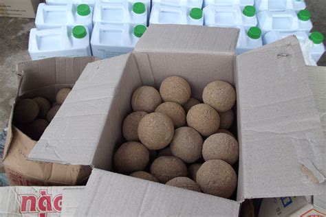 อีเอ็ม บอล Em Ball ช่วยบำบัดน้ำเสีย น้ำเน่า ลูกใหญ่ส่งด่วน เซ็ต 30 ลูก Th