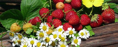 Вышивание крестиком Схемы ВКонтакте