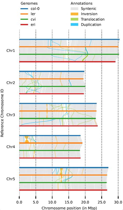 可视化基因组结构重排的工具~plotsr 腾讯云开发者社区 腾讯云