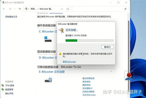 Bitlocker到底有什么用？被蓝屏锁定了如何恢复？ 知乎
