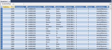 Base De Datos De Clientes Ejemplo De Cómo Optimizar Su Negocio