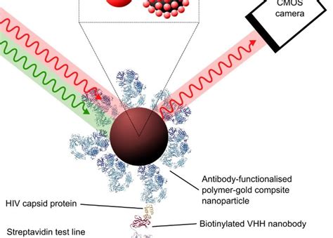 Publications Ozcan Research Lab