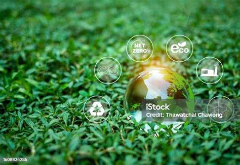 Co2 배출 감소 개념 이산화탄소 배출이 없는 깨끗하고 친근한 환경 Co2 배출을 줄이기 위해 나무를 심는 것 환경 보호 개념 사회 문제에 대한 스톡 사진 및 기타 이미지