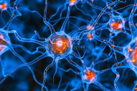 Neural Network With An Active Neuron Firing Amidst Connections Stock Image Image Of Physiology