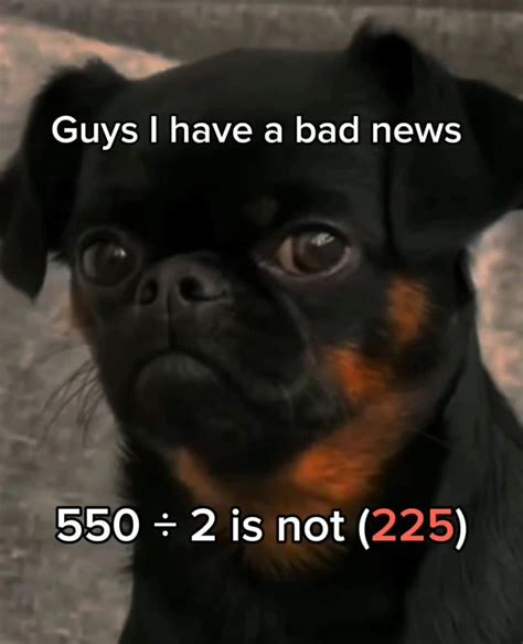 Damn If I Knew It Before All My Career Could Go Well 😂 Lazy Programmer 56 Comments