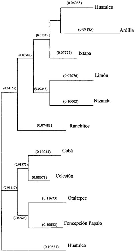 Phenogram Built With The Neighbour Joining Method And Euclidian Download Scientific Diagram