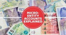 Micro Entity Accounts Explained All You Need To Know