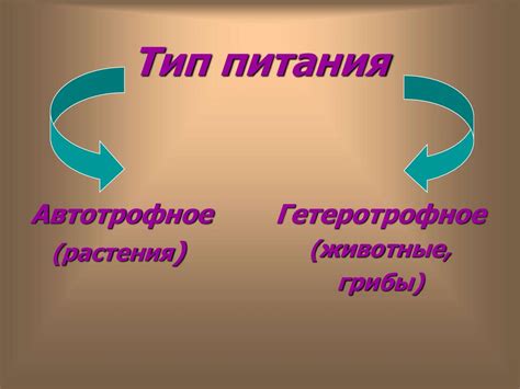 Питание и пищеварение презентация онлайн