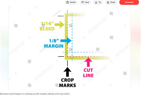 How To Add A Bleed In Adobe Before Printing Article