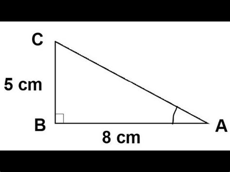 Triangle Calculator