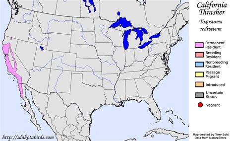 California Thrasher Species Range Map