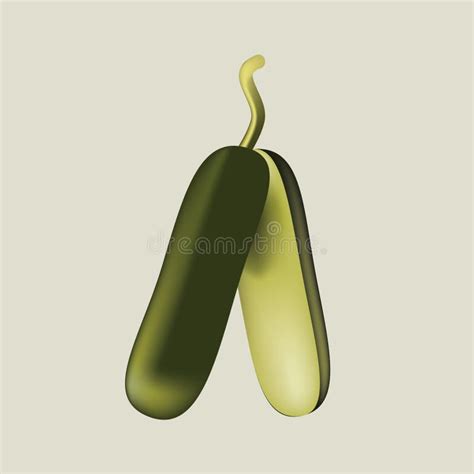 Cut In Half Pickled Cucumber Stock Vector Illustration Of Industry Plant 345207837