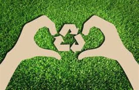 Eco Labelling Survey Agrément South Africa