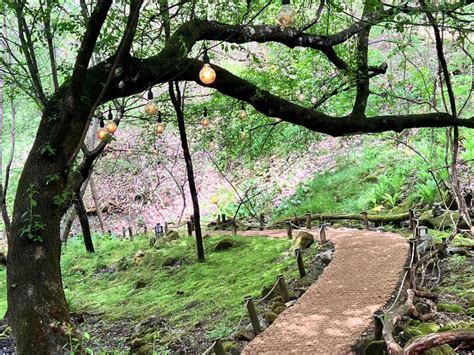 보배교회 소망의 문호 215 호 215 거기서 비로소 그의 포도원을 그에게 주고 아골 골짜기로 소망의 문을 삼아 주리니 그가 거기서 응대하기를 어렸을 때와