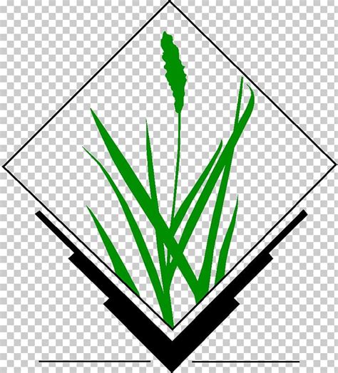 GRASS GIS Geographic Information System Open Source Geospatial Foundation Computer Software