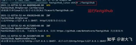 Fastgithub下载及使用 Csdn博客 Fastgithub下载及使用 Csdn博客