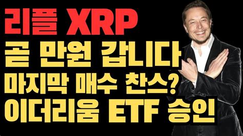 리플 마지막 매수 찬스 폭등 예정 이유와 이더리움 Etf 승인 Youtube