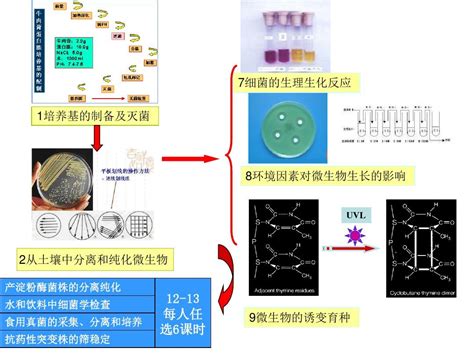 实验一 培养基的制作 Word文档在线阅读与下载 免费文档