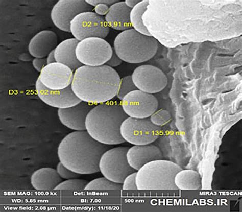 fe sem image of ceo2 sio2 nanoparticles download scientific diagram
