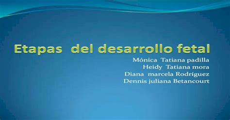 Pdf Etapas Del Desarrollo Fetal Dokumentips