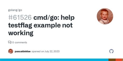 cmd go help testflag example not working · issue 61526 · golang go