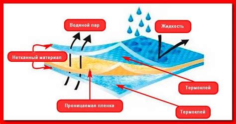 Пароизоляция или гидроизоляция. В чем разница и есть ли она?