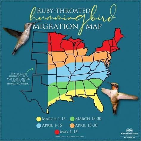 Ruby Throated Hummingbird Spring Migration Map For Rhamphotheca