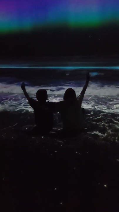 강릉 빛 축제사람이 참 소중해요♡이 세상에서 내가 제일 못난 사람이라고 생각하고 살아가야 합니다ㆍ이리하면 이 세상을 살아가면서 내가 함부로 대할 사람은 하나도