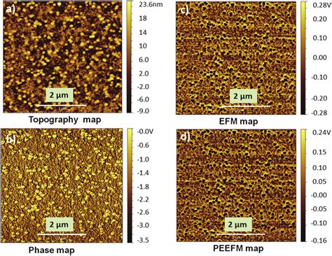 A Afm Surface Topography B Afm Phase Image C Efm Electrostatic Download Scientific Diagram