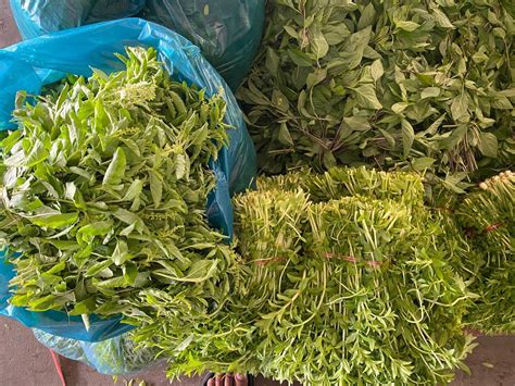 វិទ្យុជាតិចំការចេក វិទ្យុជាតិចំការចេក ខេត្តបាត់ដំបង