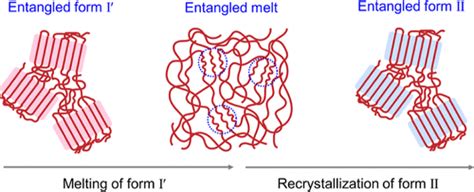 Thermally Induced Phase Transition Of Polybutene 1 From Form I′ To Form Ii Through Melt