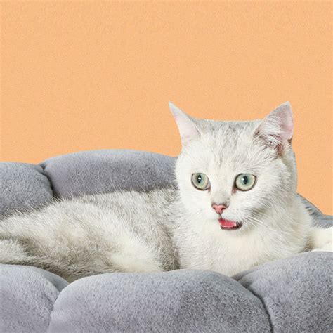 Badu Bg Малък среден домашен любимец котка куче постелка за легло кученце меко цвете