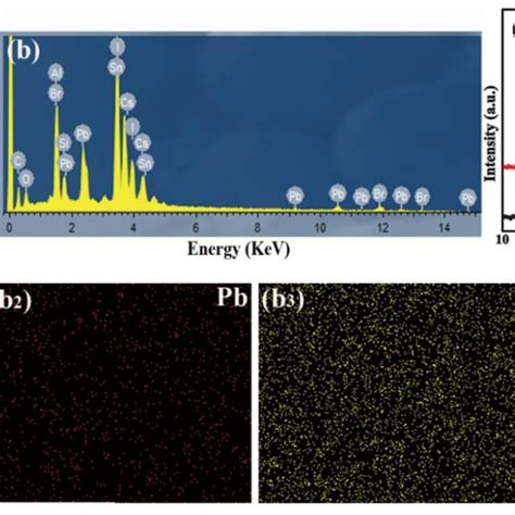 A Top View Scanning Electron Micrograph Sem Of Cspbibr2 Film B