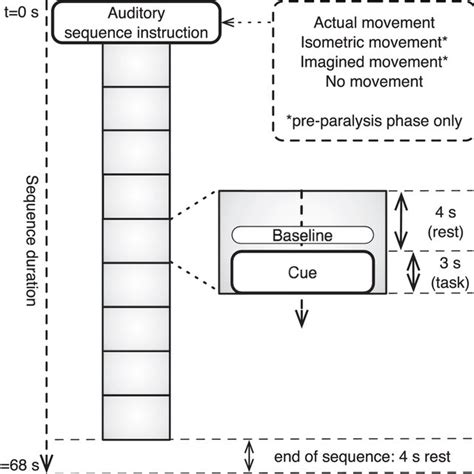 Visualization Of Experimental Sequences Download Scientific Diagram