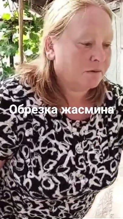 Обрезка жасмина Youtube