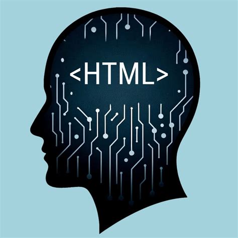 How To Add An Html Tag To The Head Of Your Homepage In Wordpress With The Simple Custom Css And