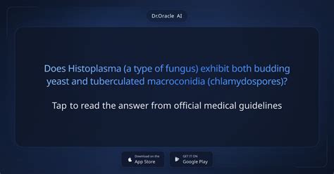 Does Histoplasma A Type Of Fungus Exhibit Both Budding Yeast And Tuberculated Macroconidia