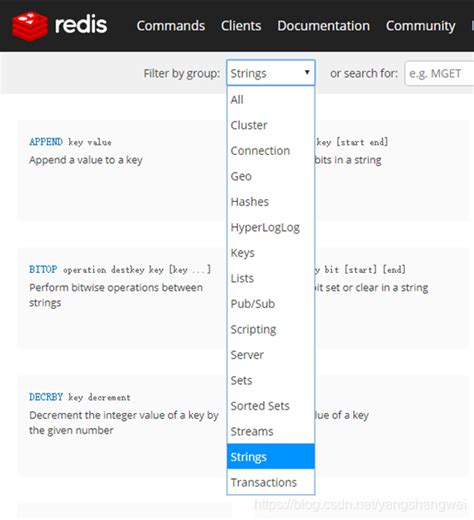 Redis进阶 核心数据结构进阶实战 阿里云开发者社区