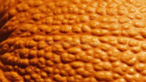 Close Up Human Skin Natural Stretch Marks Texture Background Stretch